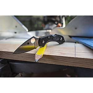 Spyderco Dragonfly 2 Lightweight Signature Knife with 2.3" VG-10 Steel Blade and High-Strength Zome Green FRN Handle - PlainEdge - C28ZFPGR2