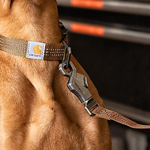 Carhartt Dog Leash Brown/Brushed Brass, Large