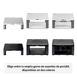 Fellowes Standard Monitor Riser (91712), Platinum/Graphite