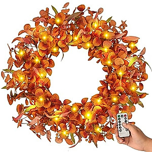 XHXSTORE 22" Fall Wreaths for Front Door with 30 LED Warm Lights Artificial Fall Eucalyptus Wreath with Berries Autumn Door Wreath for Home Farmhouse Indoor Outdoor Festival Window Wall Decor