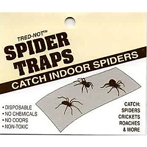 12 TredNot Spider Traps/Sticky Insect Glue Board
