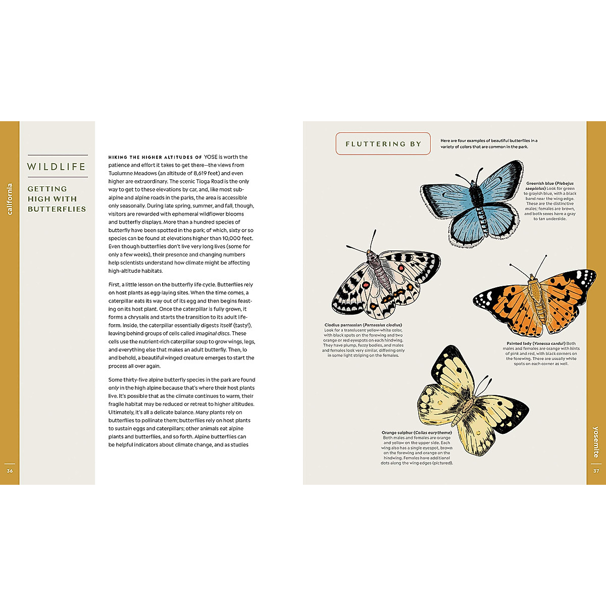 Scenic Science of the National Parks: An Explorer's Guide to Wildlife, Geology, and Botany