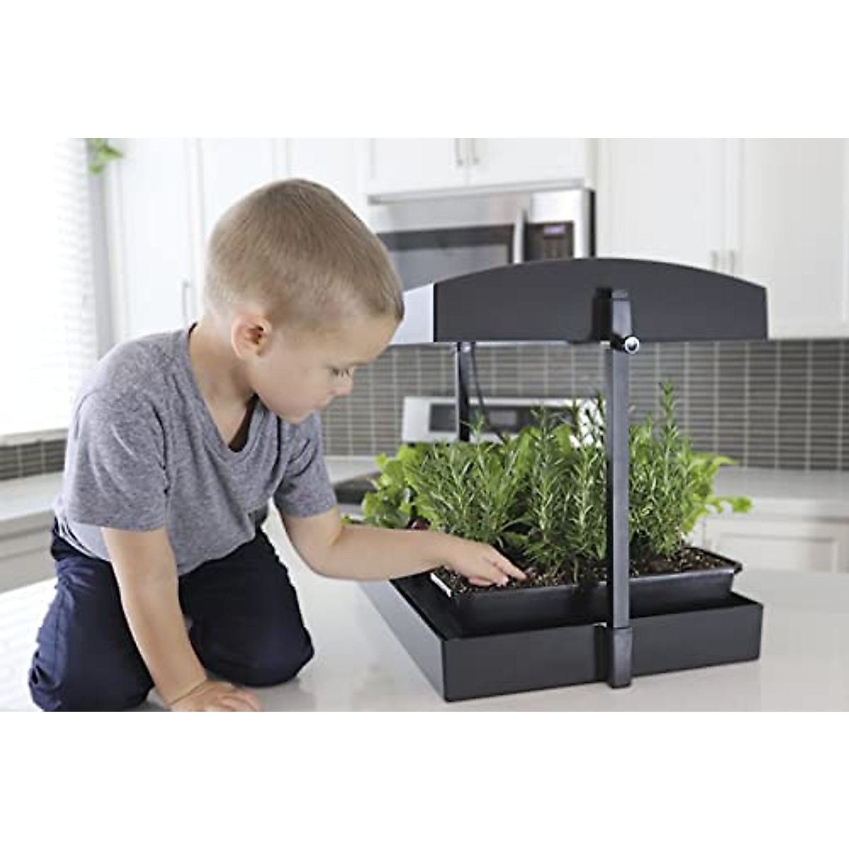 SunBlaster LED Indoor Growlight Garden, Home Growing Kit