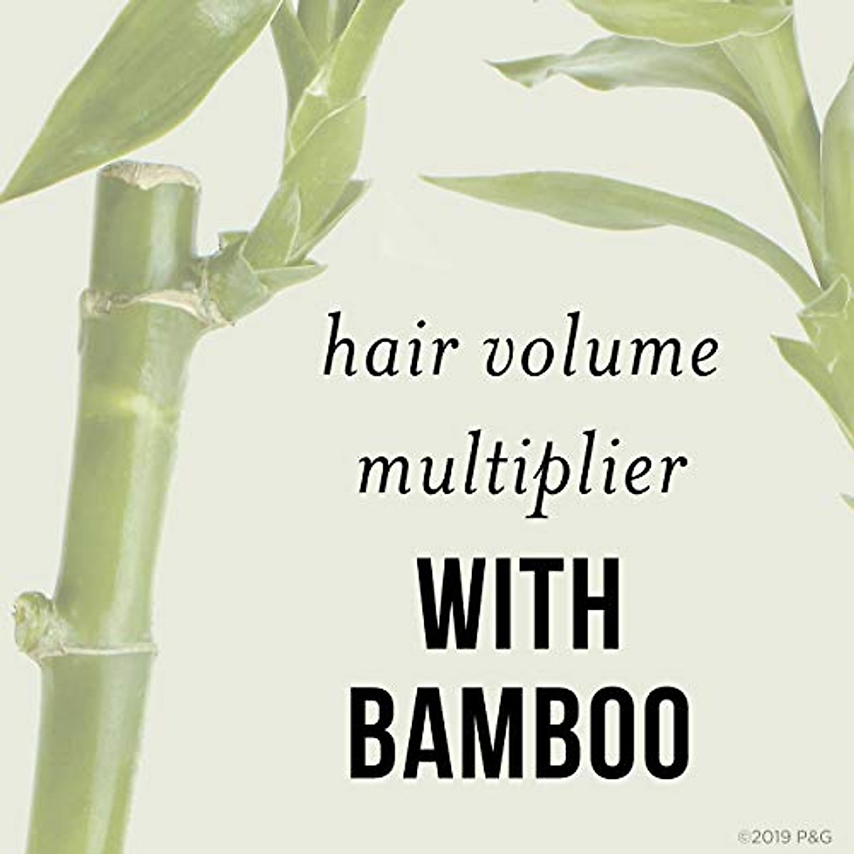 Pantene Nutrient Blends Hair Volume Multiplier Silicone Free Bamboo Conditioner For Fine, Thin Hair, 8.0 Fl oz, 6.257 Fl oz