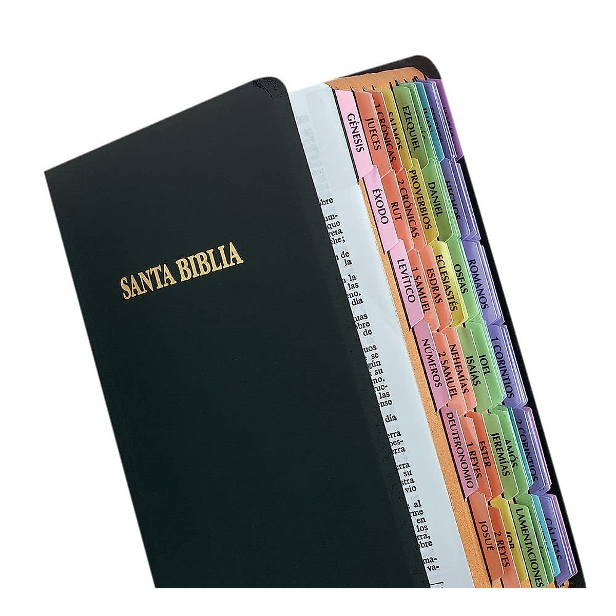 tabbies Rainbow Spanish Catholic Bible Indexing Tabs, Old & New Testaments Plus Catholic Books, 90 Multi-Colored Tabs Inc. 71 Books & 19 Ref. (58347)