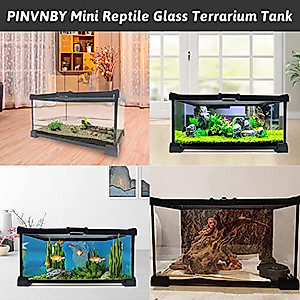 Mini Reptile Glass Terrarium Tank 7.9"x7.9"x5.7" Micro Habitat Terrarium Enclosure Amphibians Tank Cage Full View Visually Appealing for Small Reptiles, Amphibians, Spiders and Other Invertebrates