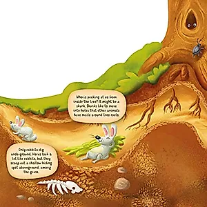 Discovering the Secret World of Nature Underground (Happy Fox Books) Board Book Takes Kids Ages 3-6 Deep into the Ground with Every Turn of the Page, plus Fun Facts and Vocabulary Words (Peek Inside)