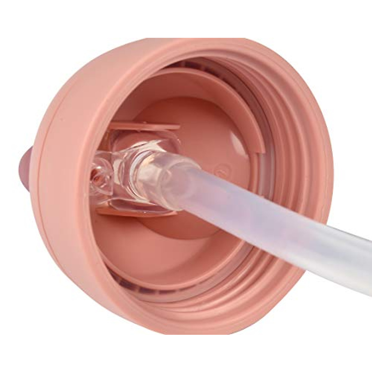 Beaba Straw Sippy Cup, Sippy Cup with Removable Handles, Sippy Cup with Straw, Baby Straw Cup, Toddler Cup, Toddler Straw Cups, 8+ months, 10 oz, Rose