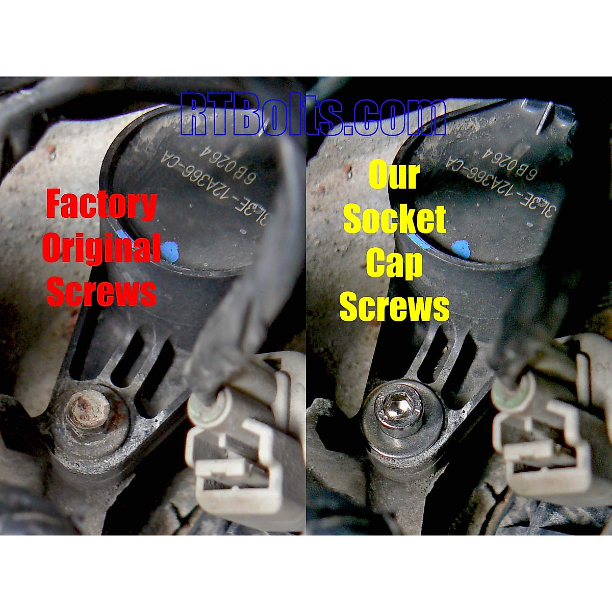 (8) Coil Pack Screws/Bolts fits Ford 5.4 & 4.6 – 18-8 Stainless – Allen Socket Head