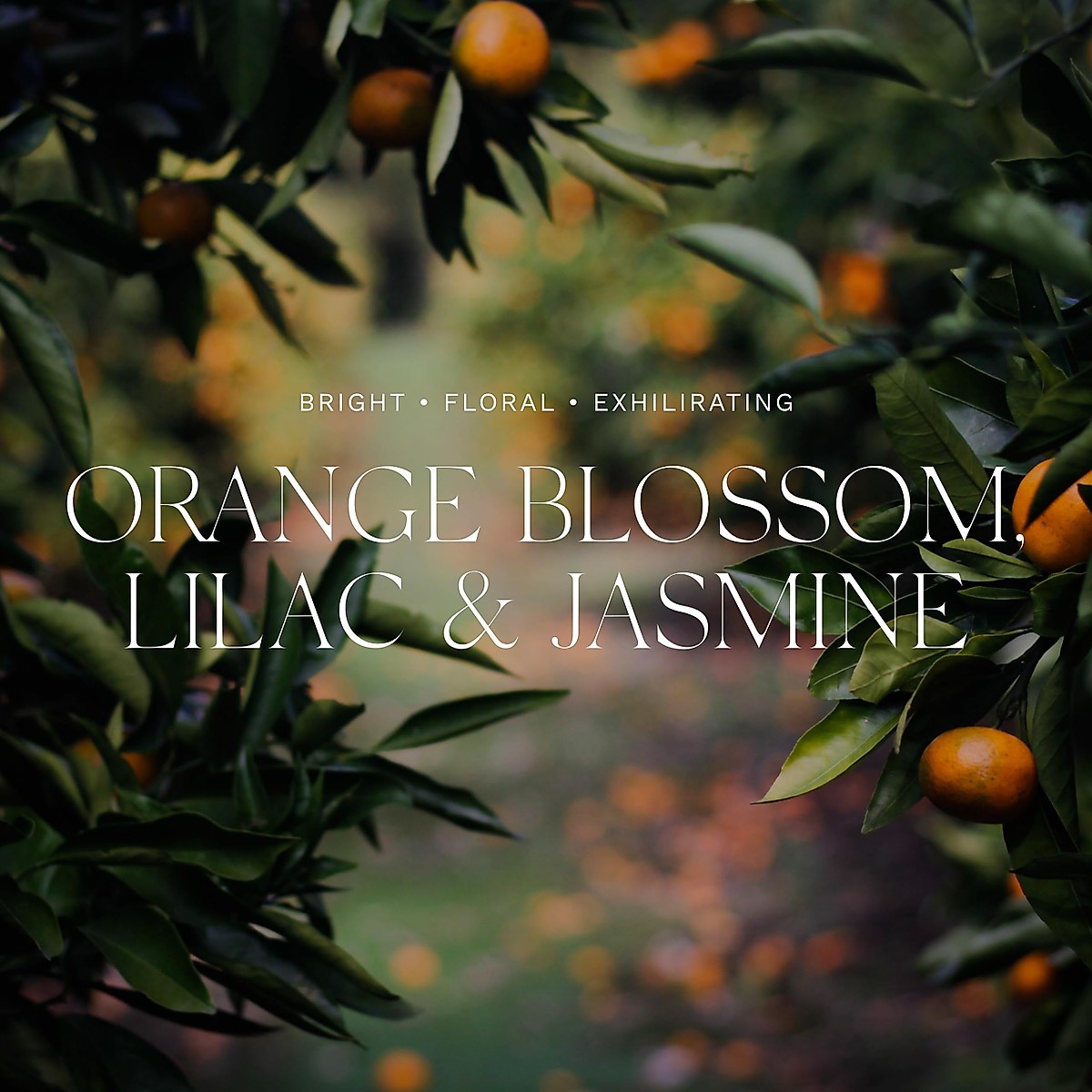 Antica Farmacista Home Ambiance, Orange Blossom, Lilac and Jasmine 8.45 Fl Oz