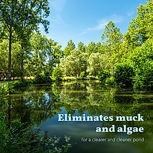 ENZYME MAGIC Pond and Lake Treatment – 1 Gallon