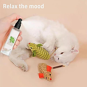 DENGWANG Herbal Cat Joy, Kitty Joy Herbal Cat Joy, Celery Pets Herbal Cat Joy, Kitty Joy Herbal Spray, Cat Stress and Anxiety Relief, Happy Living Space for Your Cat (3Pcs)