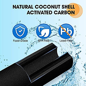5 Micron 10" x 4.5" Whole House Coconut Shell Activated Carbon Water Filter Replacement Cartridge for Dupont WFHDC8001, CB-BB-10, GE FXHTC, GXWH40L, GXWH35F, GNWH38S, CTO10BB, 2PACK