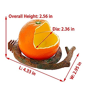 Bird Feeder Fruit Shape with Clamp Holder Cage-Pet Food & Water Bowl Parrot Food Box Cage Decoration (Orange Shape)