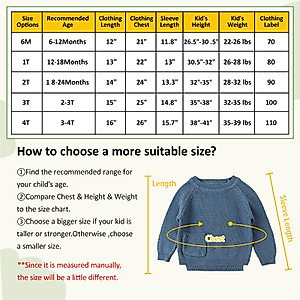 Peecabe Toddler Baby Girl Boy Cable Knit Sweater Cotton Infant Pullover Crewneck Long Sleeve Sweatshirt Fall Winter (Haze Blue, 6M)
