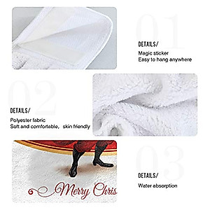 Funny Christmas Kitchen Towel 2pcs Santa Claus Xmas Soft Coral Velvet Hand Towels with Hanging Loop for Bathroom Washcloth Absorbent Tie Towel