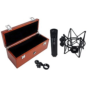 Warm Audio WA-87 R2 Large Diaphragm Condenser Microphone - Black