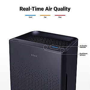 Winix AM80 True HEPA Air Purifier with Washable Advanced Odor Control (AOC) Carbon Filter, 360sq ft Room Capacity, Dark Grey, Large