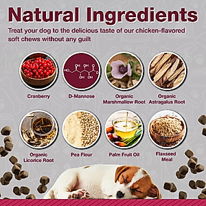 Pawlife Cranberry Supplements for Dogs| Urinary Tract & Bladder Support| D Mannose & Antioxidants for Support| 120 Veterinarian Formulated Soft Chews| Up to 4-Month Supply