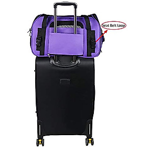 EliteField Soft Sided Pet Carrier (3 Year Warranty, Airline Approved), Multiple Sizes and Colors Available (Large: 19" L x 10" W x 13" H, Purple)