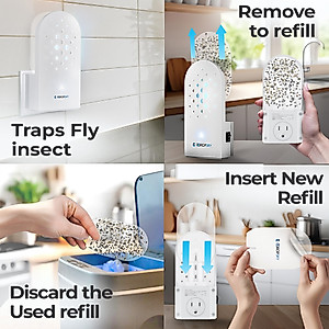 Dropsky Indoor Flying Insect Trap - Plug-in Bug Light Trap for Fruit Flies, Gnats and Houseflies - Odorless and Mess Free (2 Traps + 2 Glue Cards)
