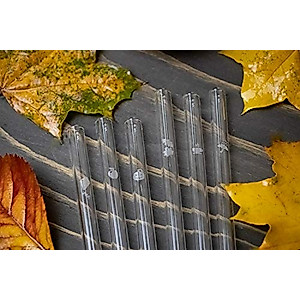 HALM Glass Straws - Autumn Edition - 6 Reusable Drinking Straws With Engraved Autumn Icons 20cm (8 in) - Leafs, Umbrella, Apple, Teacup, Kite, Pumpkin - Made in Germany - Dishwasher Safe
