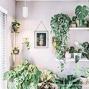 Aspect Large White Luxury LED Grow Light – for Medium and Large Plants