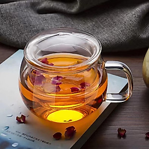 Aurfedes 14oz Tea cup with steeper and lid, heat-resistant borosilicate glass clear tea cup for loose leaf tea, blooming tea and tea bags - ideal for tea lovers (1PCS)