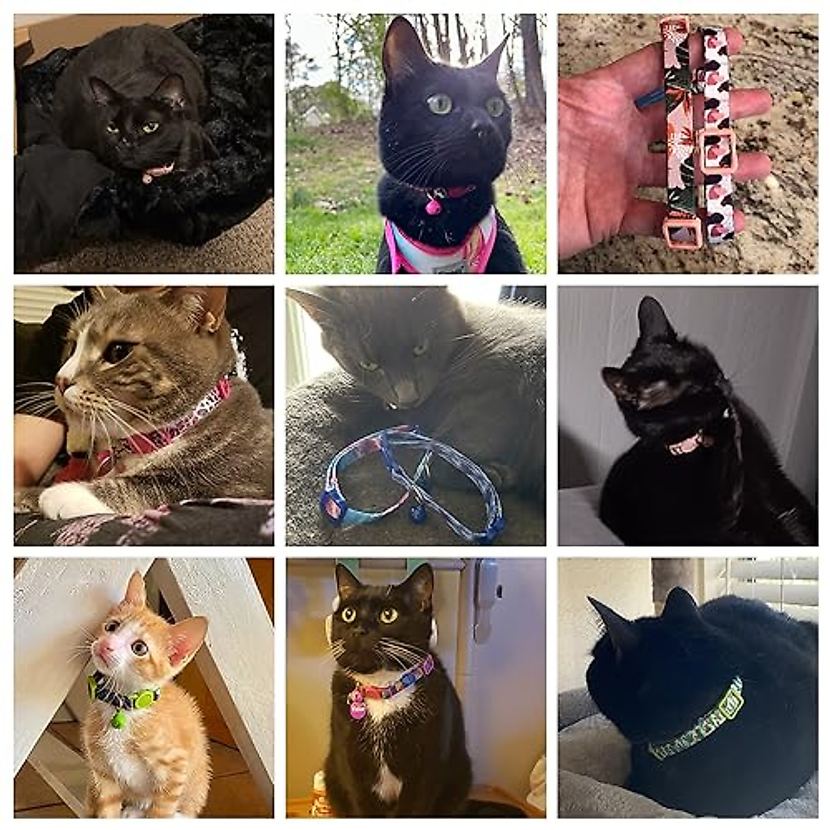 DILLYBUD Breakaway Cat Collars for Girl Boy Cats, Fall Winter All Weather Cat Collar Personalized Pattern 2 Pack,Cute Classic Safety Buckles and Bells,Adjustable Printed Nylon Colorful Pink