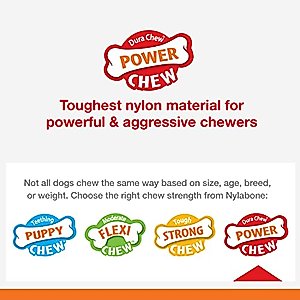 Nylabone Power Chew Lobster Dog Chew Toy, Cute Dog Toys for Aggressive Chewers, Filet Mignon Flavor, X-Large/Souper (1 Count)