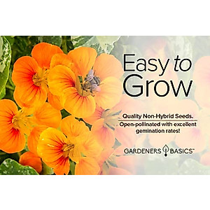 Nasturtium Flower Seeds for Planting (Dwarf Jewel) - Edible Flower Open Pollinated, Non-GMO Annual Flower Seed for Flower Gardens by Gardeners Basics