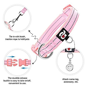 azuza 2 Pack Reflective Soft Neoprene Padded Dog Collars, Adjustable Pet Collar with ID Tag Ring, Safe and Comfy for Small Dogs,Hot Pink/Pink,S