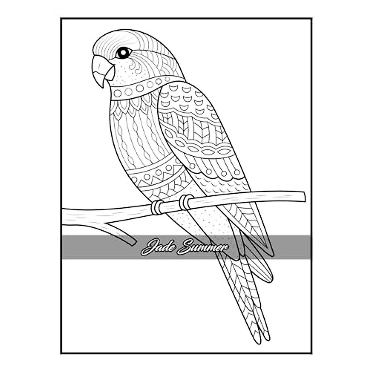 100 Animals: An Adult Coloring Book with Lions, Elephants, Owls, Horses, Dogs, Cats, and Many More!