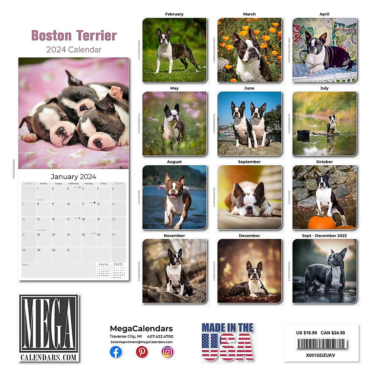 2023 2024 Boston Terrier Calendar - Dog Breed Monthly Wall Calendar - 12 x 24 Open - Thick No-Bleed Paper - Giftable - Academic Teacher's Planner Calendar Organizing & Planning - Made in USA