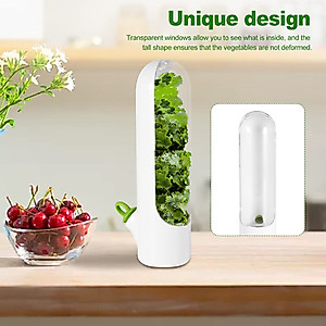 Fresh Herb Keeper, Herb Saver for Refrigerator, Herb Storage Container Vanilla Keep-Fresh Cup Vegetable Preservation Bottle Keeps Greens Fresh for Cilantro Mint Parsley Asparagus