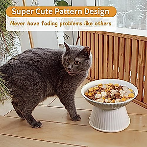 6.5" Extra Wide Ceramic Elevated Cat Bowl, Whisker Friendly Raised Cat Food Bowl for Food and Water, Anti-Vomiting High Cat Dish for Indoor Cats with Non-Slip Ring, Dishwasher Safe & Microwaveable