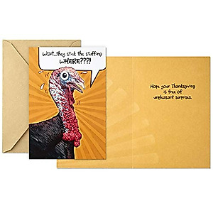 Hallmark Funny Shoebox Funny Thanksgiving Card Assortment (6 Cards with Envelopes)