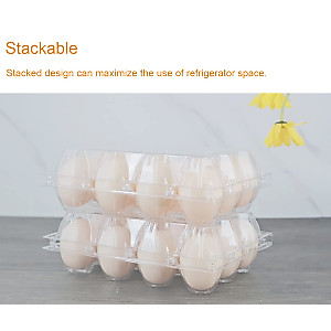 BULKBUY Egg Cartons 60 Packs, Clear Eco-friendly Plastic Blank Egg Cartons with Free Labels, Holds up to 12 Eggs Securely, Perfect for Family Pasture Farm Markets Display - Medium
