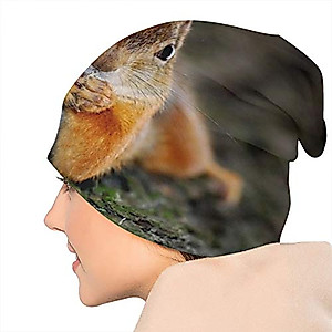 Funny Squirrel Slouchy Knit Cuffed Beanie Hat for Men Women Winter Ski Skull Cap Black