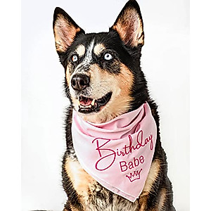 Dog Birthday Bandana for Large Dog – 23 x 23 in, Large, Embroidered Birthday Girl Dog Bandana for Dogs with Stitched Edges & Cotton Drawstring Bag – Dog Birthday Gifts & Dog Clothes by Kendall Wags