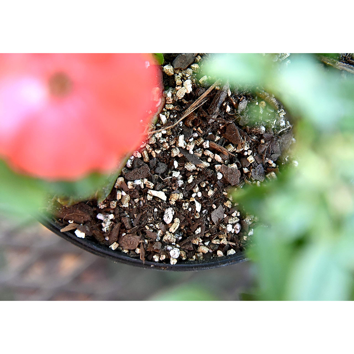 Organic Vermiculite by Perfect Plants - 8 Dry Quarts Natural Medium Grade Soil Additive for Potted Plants