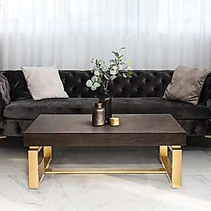 Savonnerie Coffee Tables for Living Room, Small Coffee Table with Gold Legs, Oak Top, 42" L x 21" W x 15" H