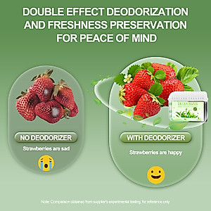 Refrigerator Deodorizer Can Be Used for over 2 Months More Effective Fridge Deodorizer than Baking Soda Bamboo Charcoal Suitable for Refrigerators Shoe Cabinets (Green tea flavor)