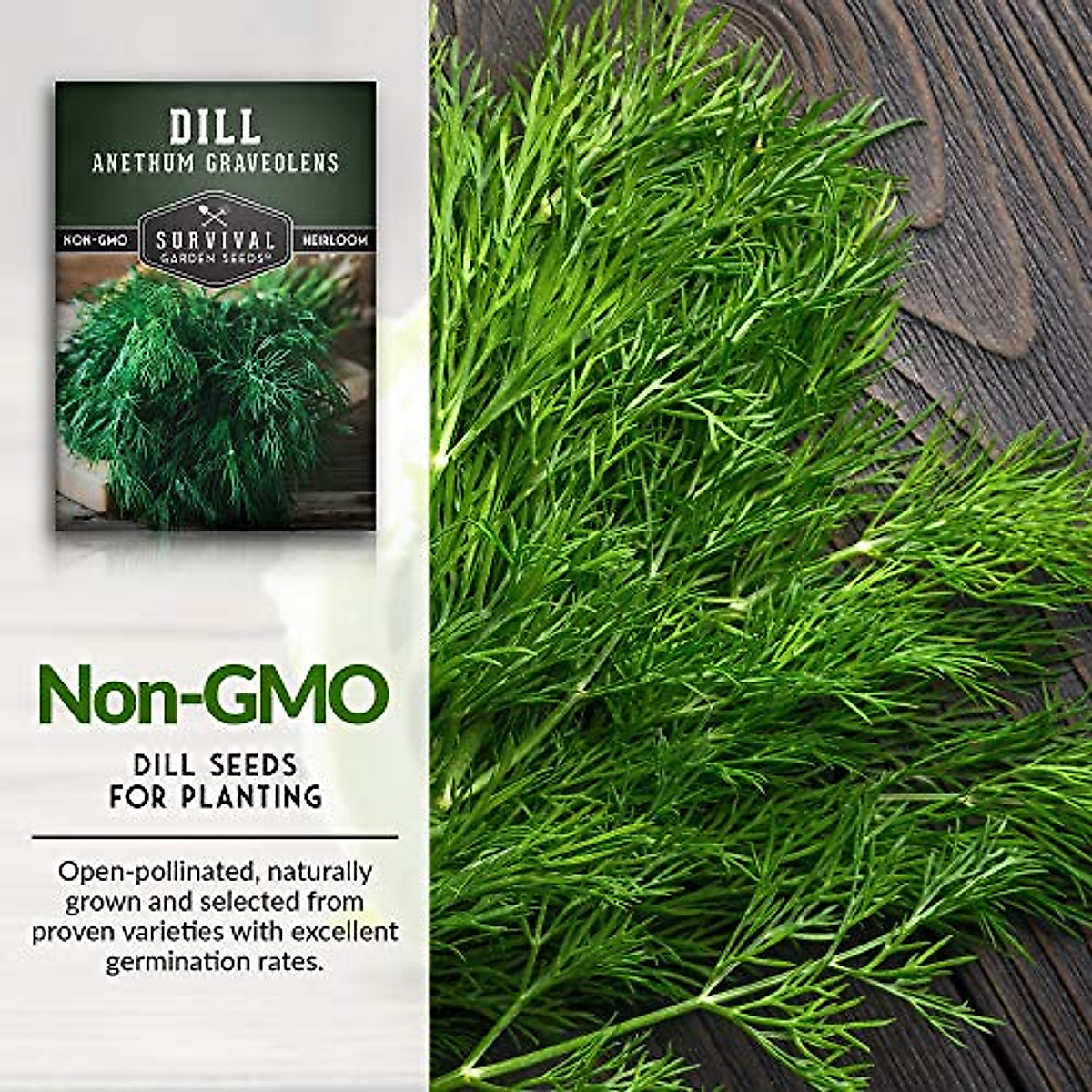 Survival Garden Seeds - Dill Seed for Planting - Packet with Instructions to Plant and Grow Popular Pickling Herbs in Your Home Vegetable and Herb Garden - Non-GMO Heirloom Variety - 1 Pack