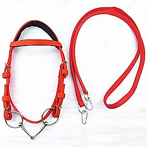 N/A Classic Horse Riding Accessories Equestrian Supplies Full Horse Bridle with Fixed Rein Red Color Belt for Horse Equipment