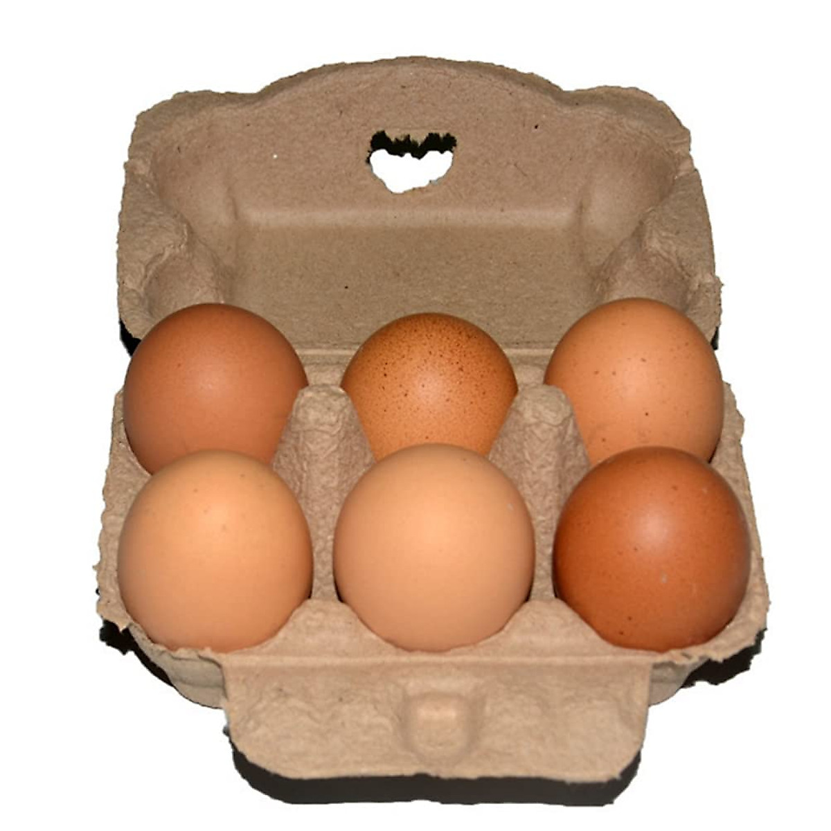 Happyyami 20pcs Egg Cartons Egg Tray Holder 6 Count Eggs Keeper Egg Bulk Container for Family Farm Market Camping Picnic Travel