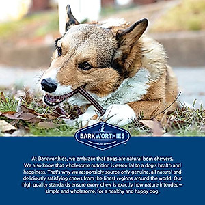 Barkworthies Collagen Sticks (6-Inch, 3-Count) - Great Tasting, Highly Digestible, Single Ingredient, Dog Chew