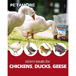 Dried grubs for Chicken -Alternative to Dried mealworms for Chickens-Dried Black Soldier Fly Larvae for Laying hens Backyard Flock Party Poultry, Fowl, Reptiles, Amphibian etc