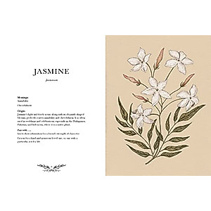 Floriography: An Illustrated Guide to the Victorian Language of Flowers (Volume 1) (Hidden Languages)