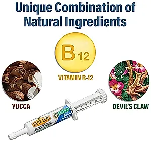 Absorbine Bute-Less Long-Term Horse Comfort & Recovery Supplement Paste, Gentle on Stomach, Devil’s Claw, Vitamin B-12, Yucca, 1oz Syringe / 3 Doses